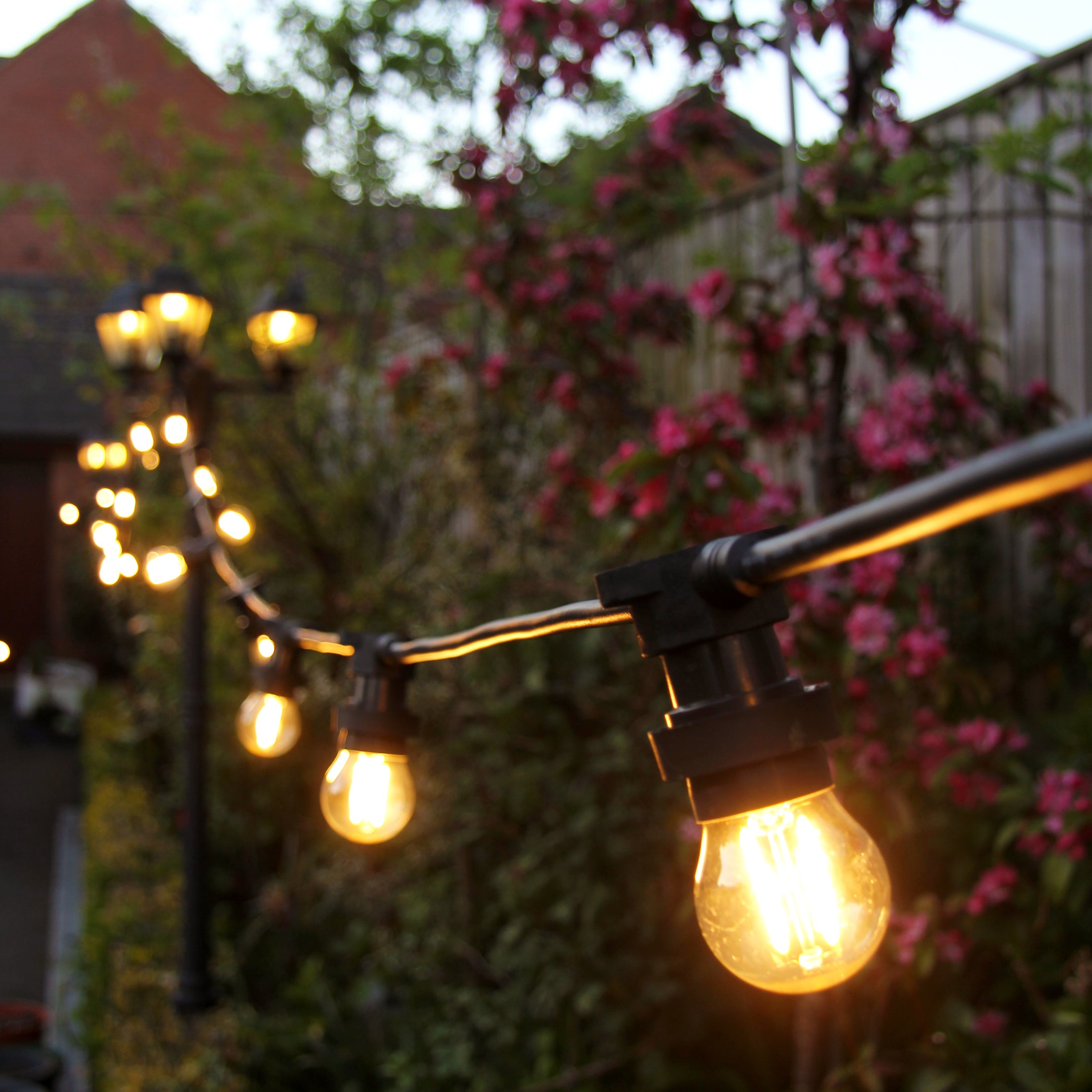 Festoon Lights Indoor & Outdoor | UK Delivery | Festoon Lighting
