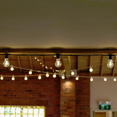 Festoon Lights | Heavy Duty Festoon Lights | Festoon Lighting